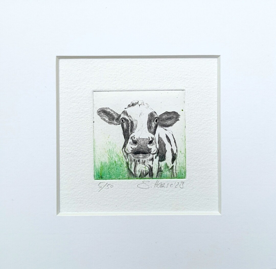 Original Etching Cow With Passepartout, Original Etching Cow With ...