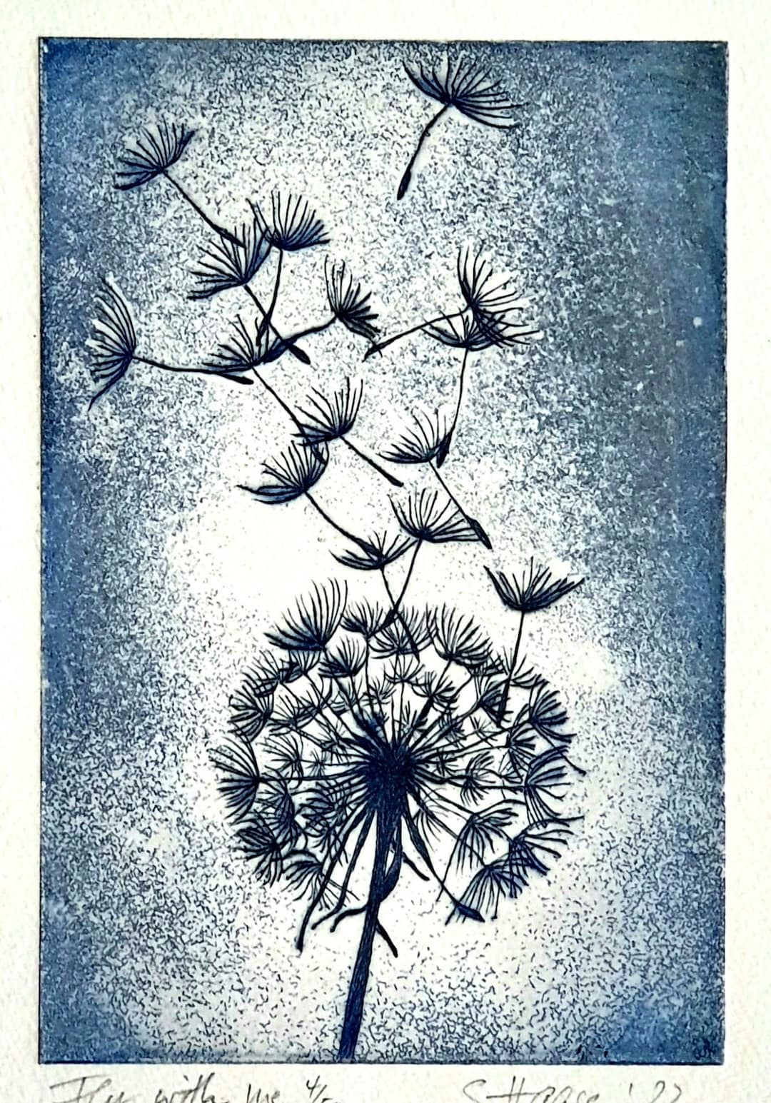 Dandelion Dandelion Flower Drypoint Etching and Aquatint, Dandelion ...