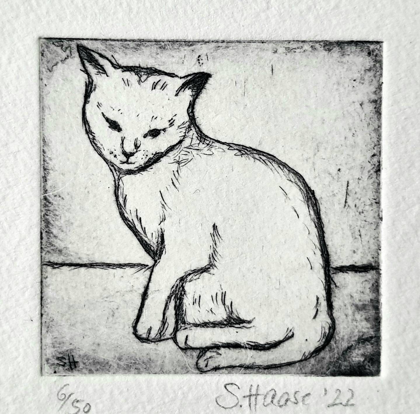 Original etching cat, cat, original etching cat, with/with passepartout ...