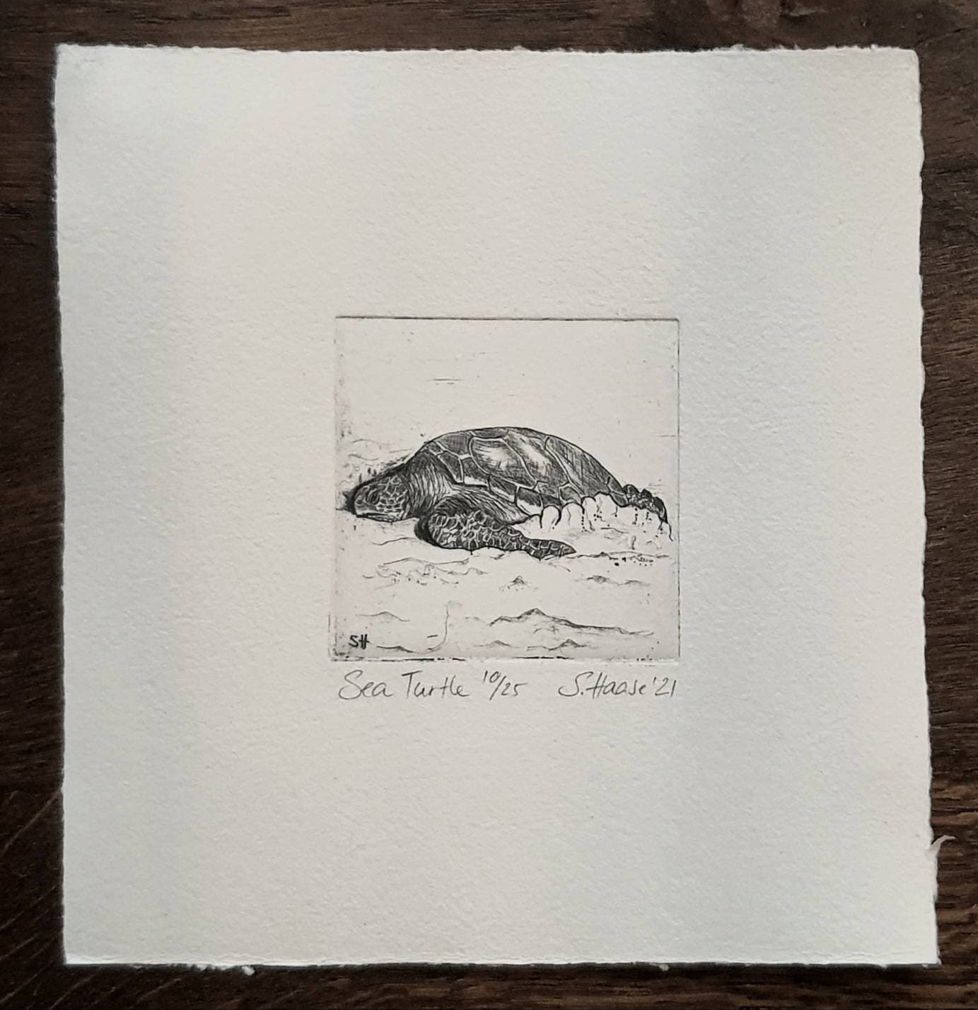 Giant sea turtle on the beach - original etching also as two-color ...