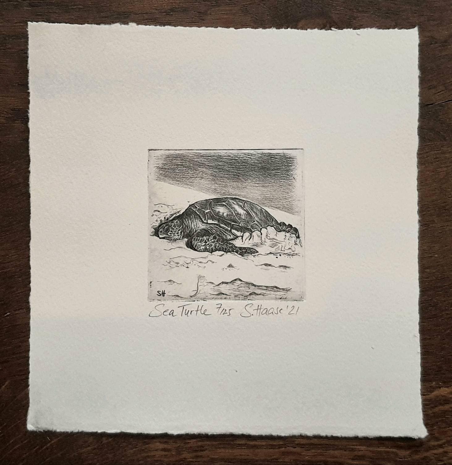 Giant sea turtle on the beach - original etching also as two-color ...