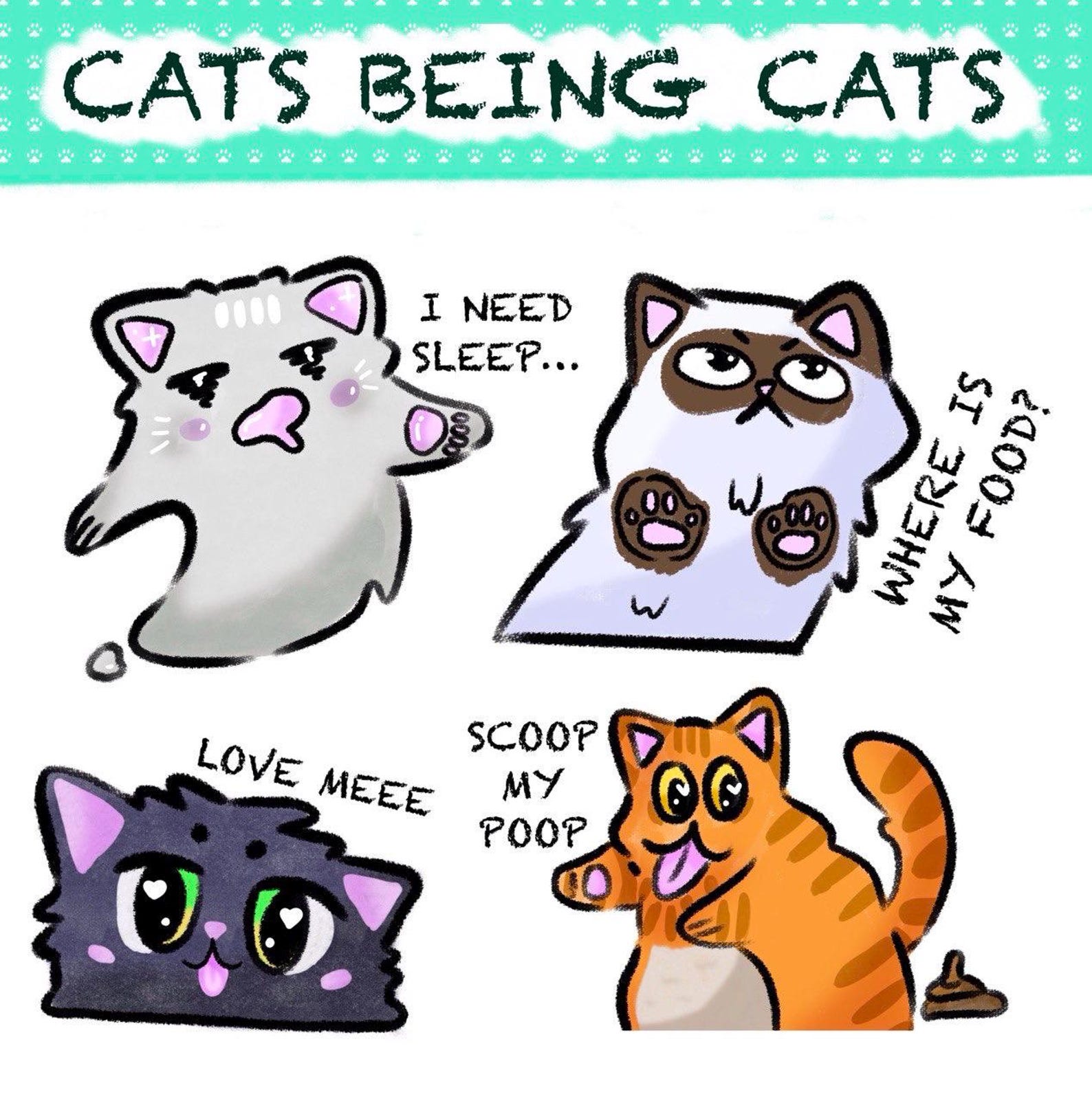 Cats Being Cats Memes Meme Stickersheet Stickerset - Etsy