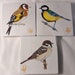 Decorative Kitchen Decor Wall Hanging birds SET Painting Wood Wall ...