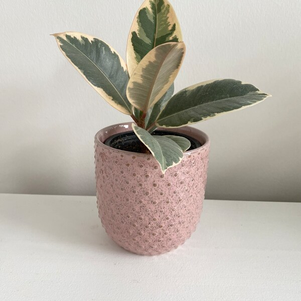 Pink Ceramic Planter - Etsy