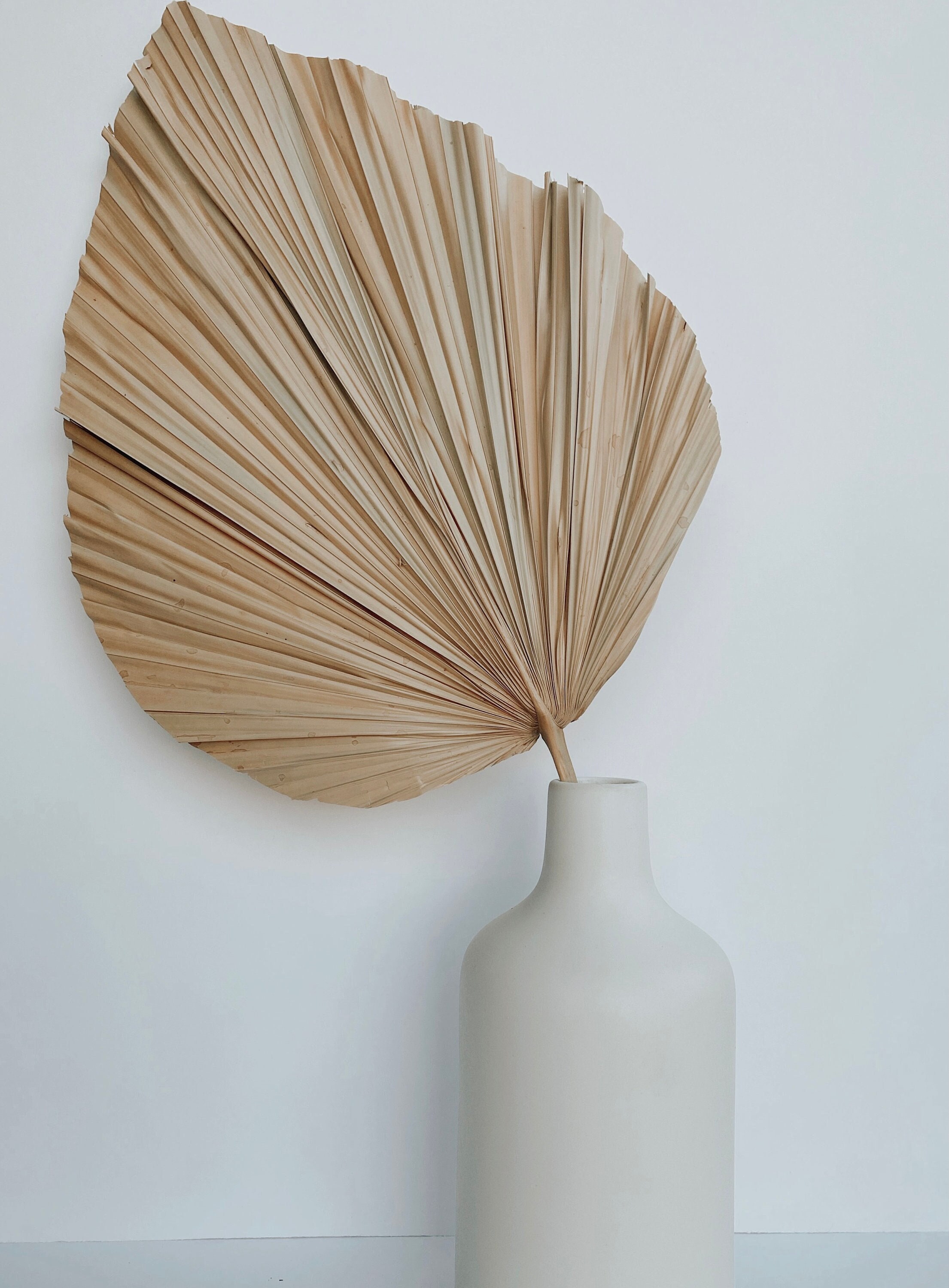 Anahaw Leaf Coloring Pages