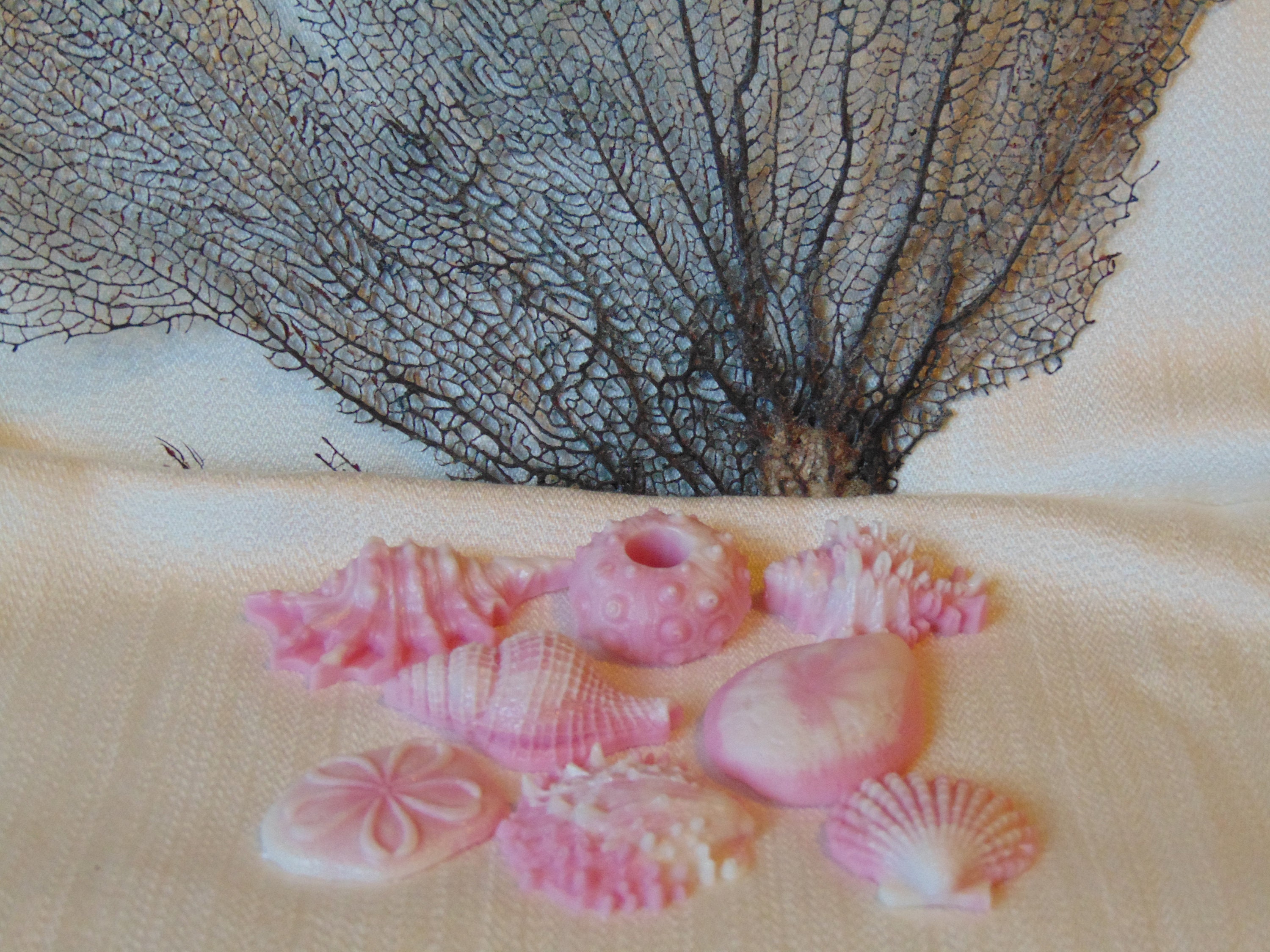 8 Seashell Soaps Dark Shell Soap Sea Shell Soap Beach Theme | Etsy