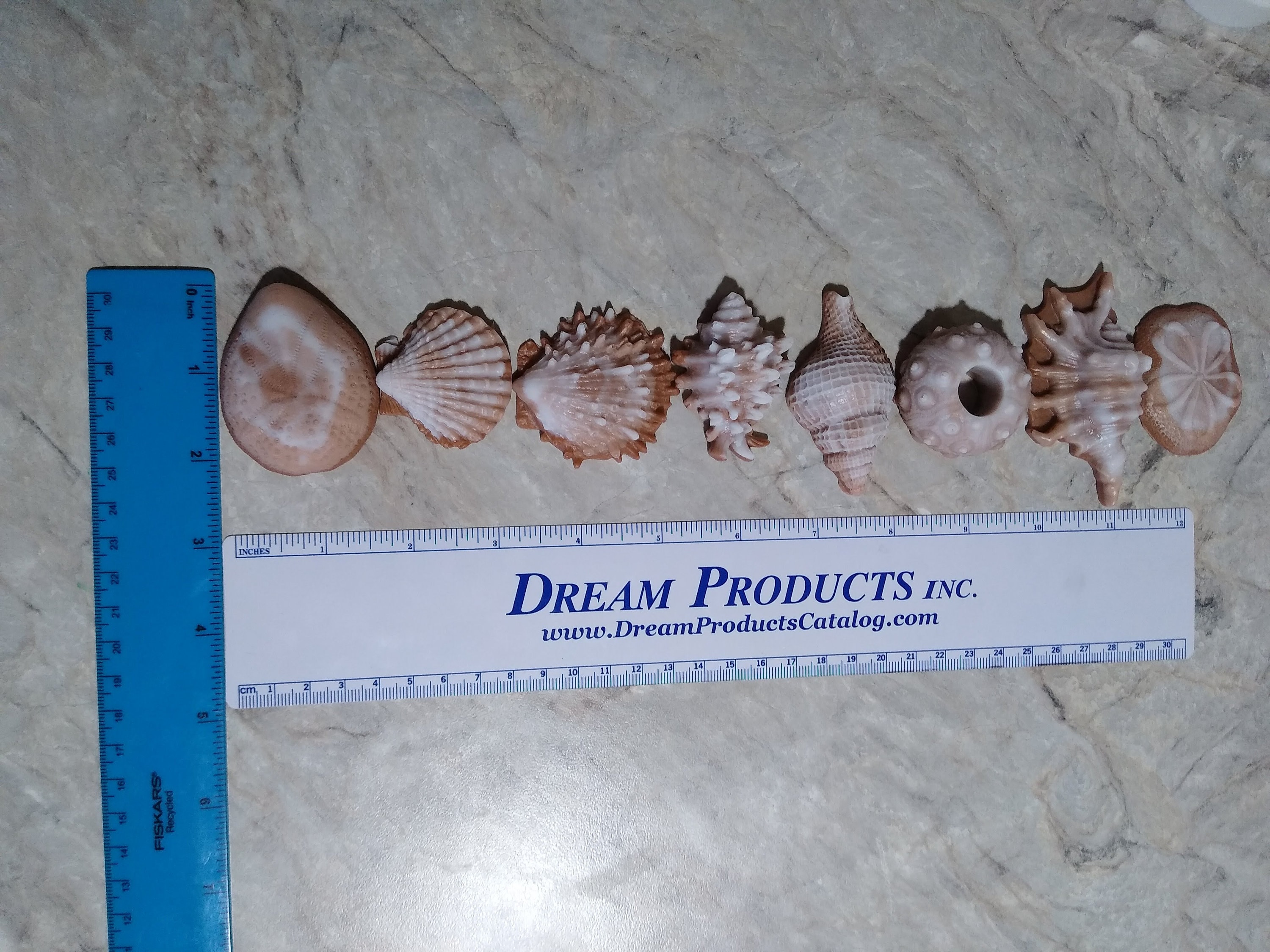 8 Seashell Soaps Dark Shell Soap Sea Shell Soap Beach Theme | Etsy