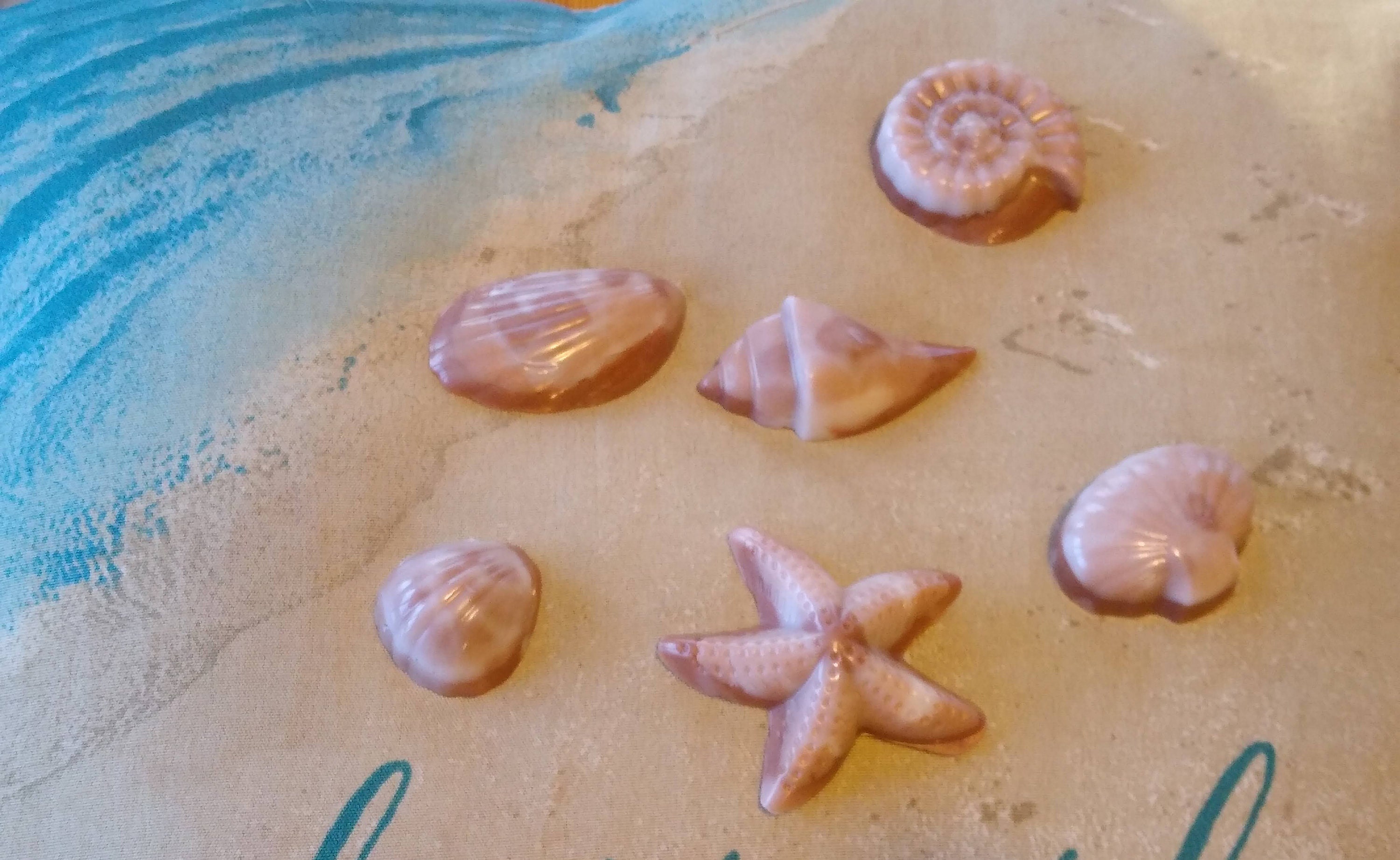 Seashell Soaps 6 Light, Shell Soap, Sea Shell Soap, Beach Theme Decor ...