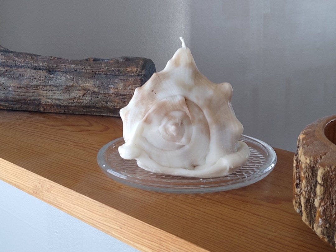 Conch Candle, 16 Oz Candle, Beach Decor, Beach Decor Bathroom, Beach ...