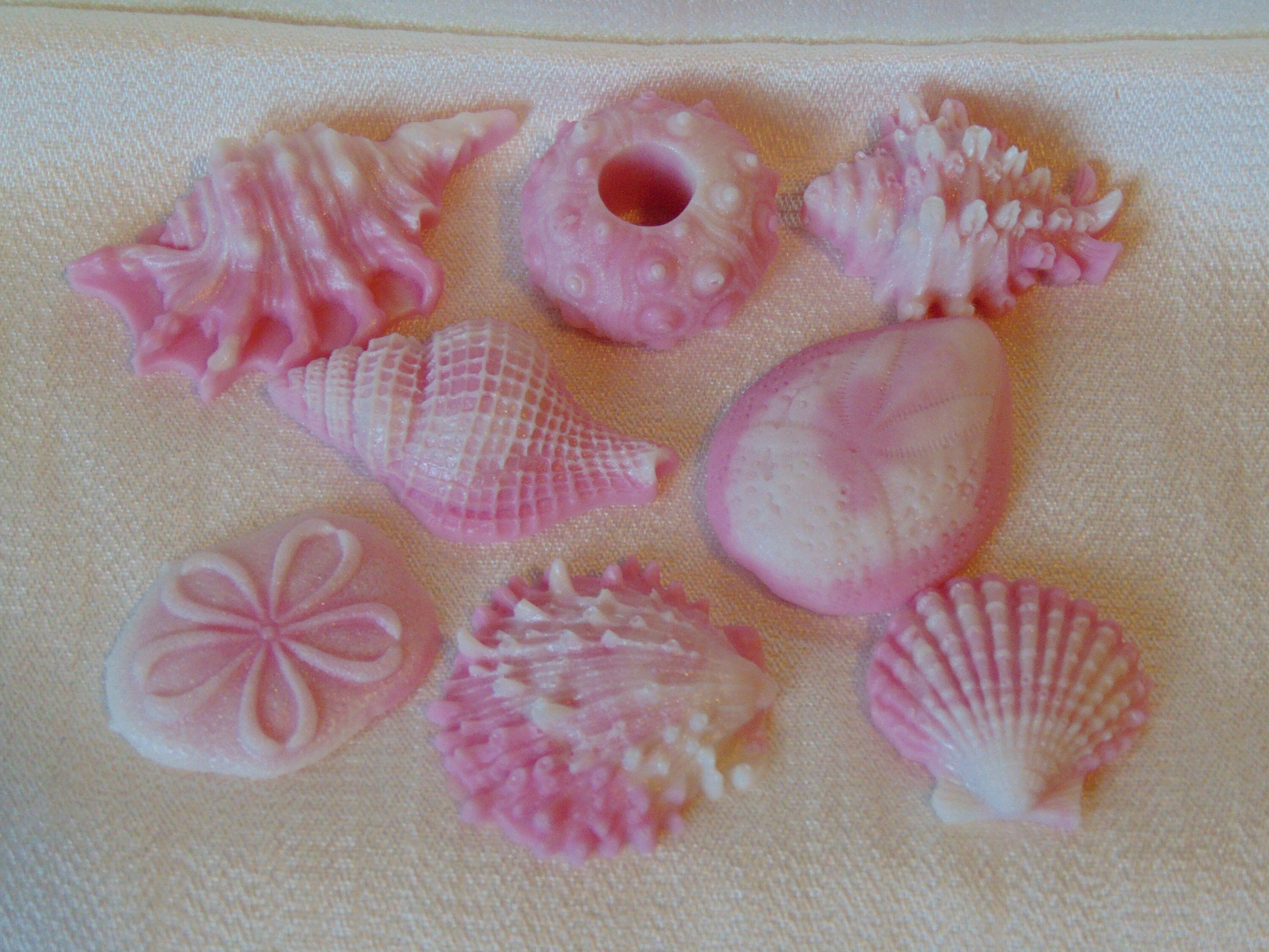 8 Seashell Soaps Dark Shell Soap Sea Shell Soap Beach Theme | Etsy