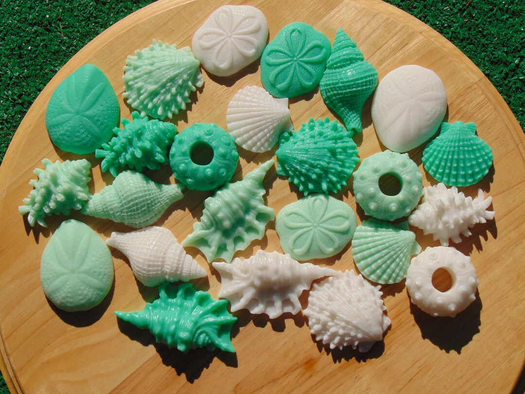 Seashell Soaps (24) Light, Shell Soap, Sea Shell Soap, Beach Theme Soap ...