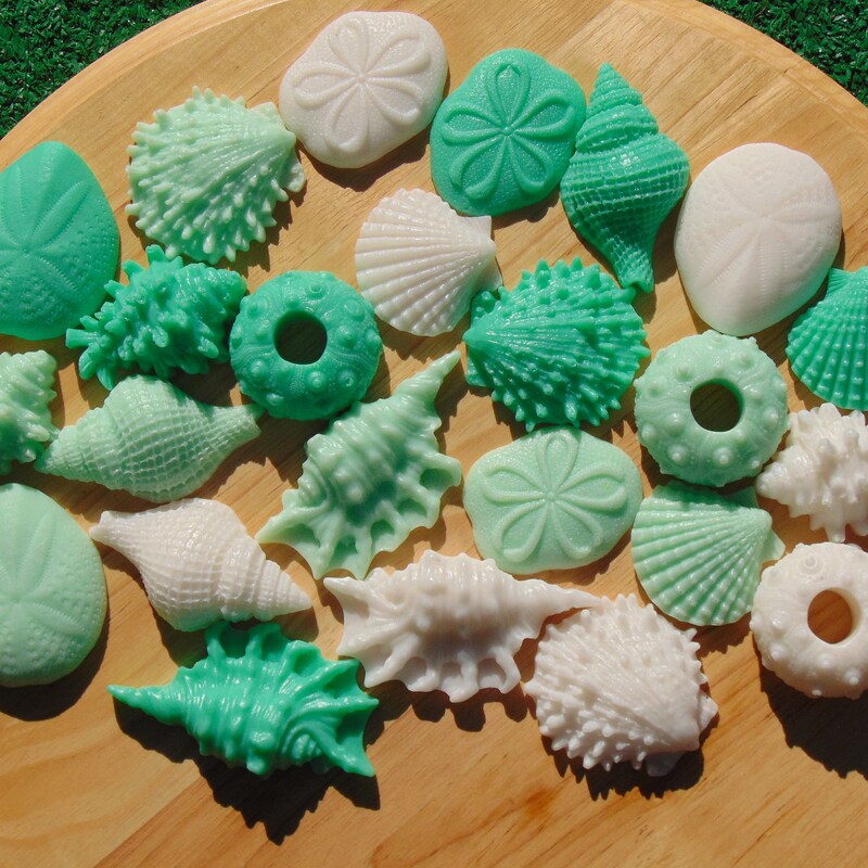 Shell Soaps - Etsy