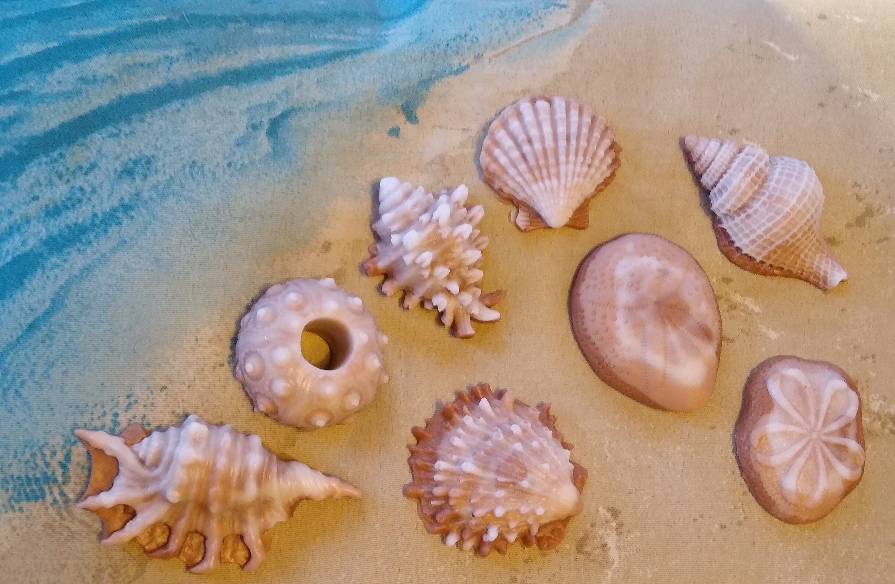 8 Seashell Soaps Dark Shell Soap Sea Shell Soap Beach Theme | Etsy