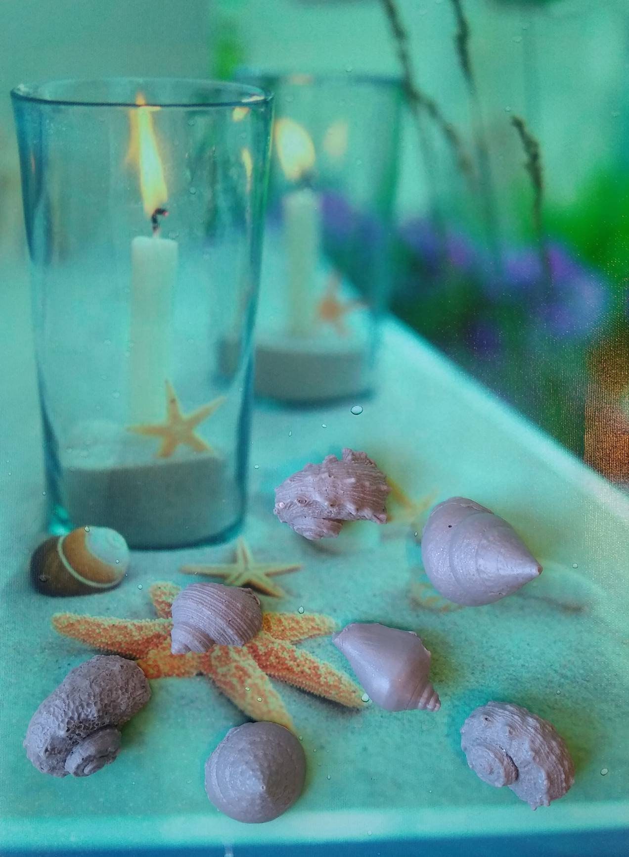 Seashell Soaps 7 Light Shell Soap Sea Shell Soap Beach | Etsy