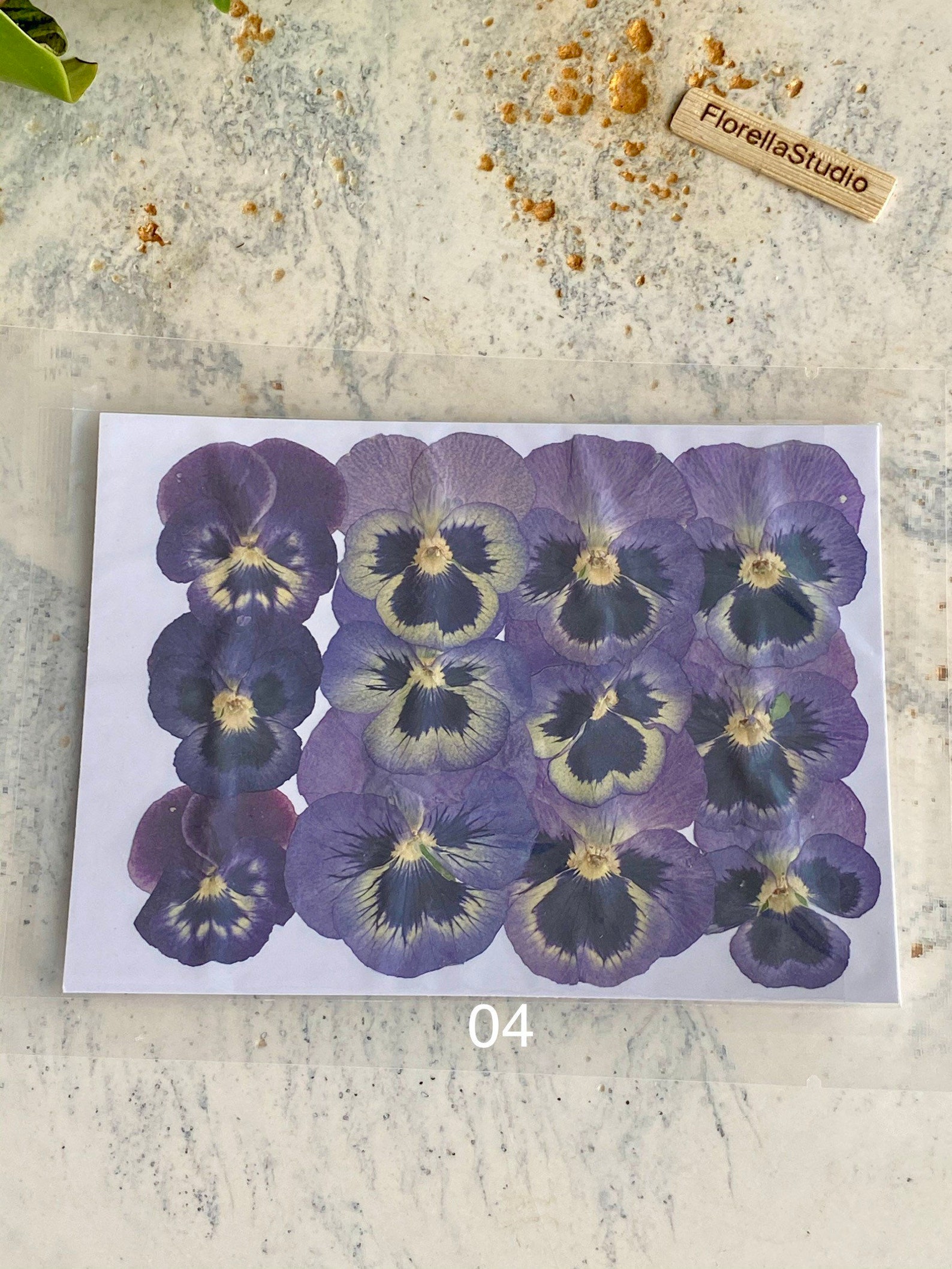 12 Pcs DIY Pressed Flower Large Pansies Handmade Natural Dried | Etsy
