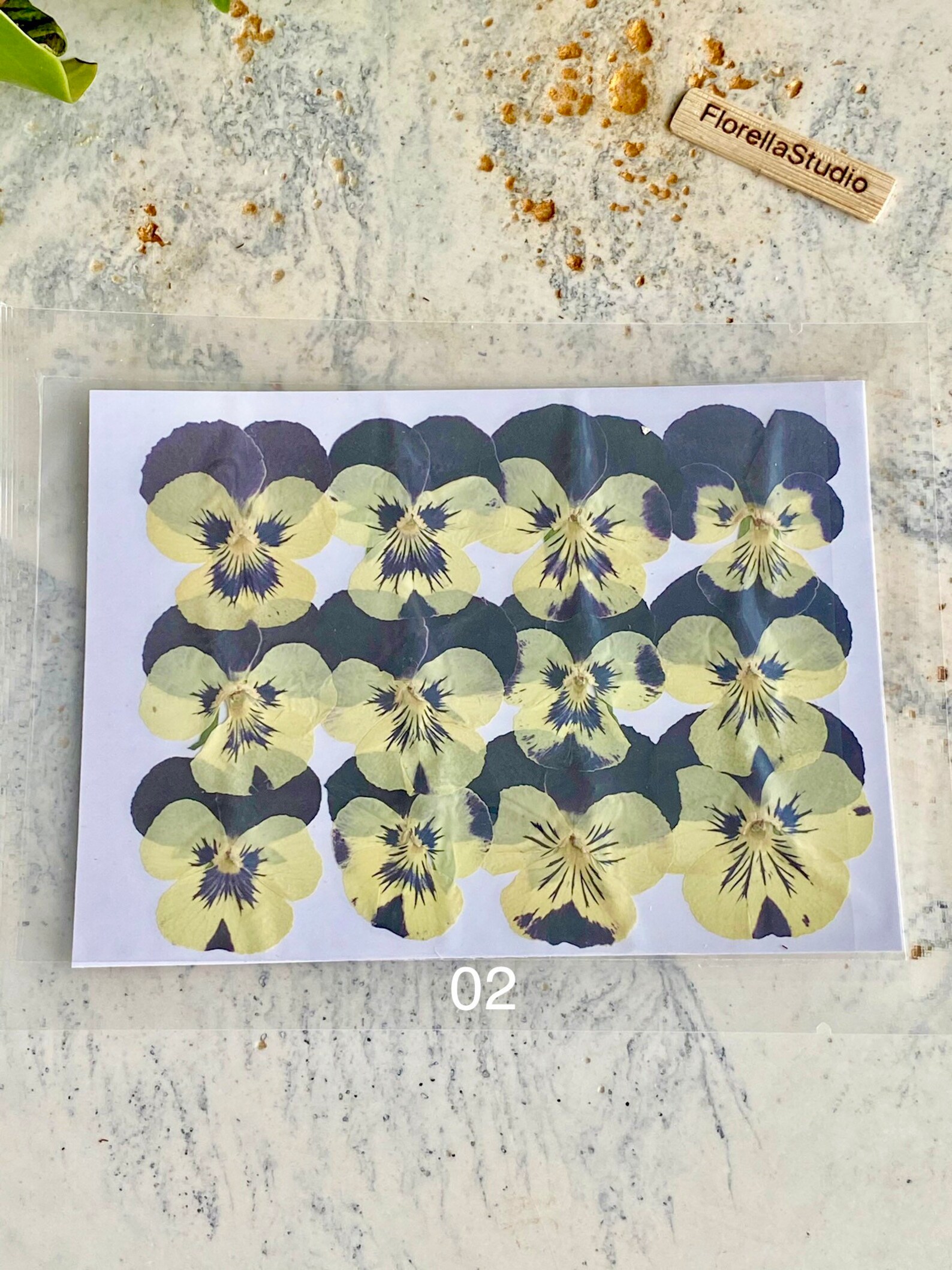 12 Pcs DIY Pressed Flower Large Pansies Handmade Natural Dried | Etsy