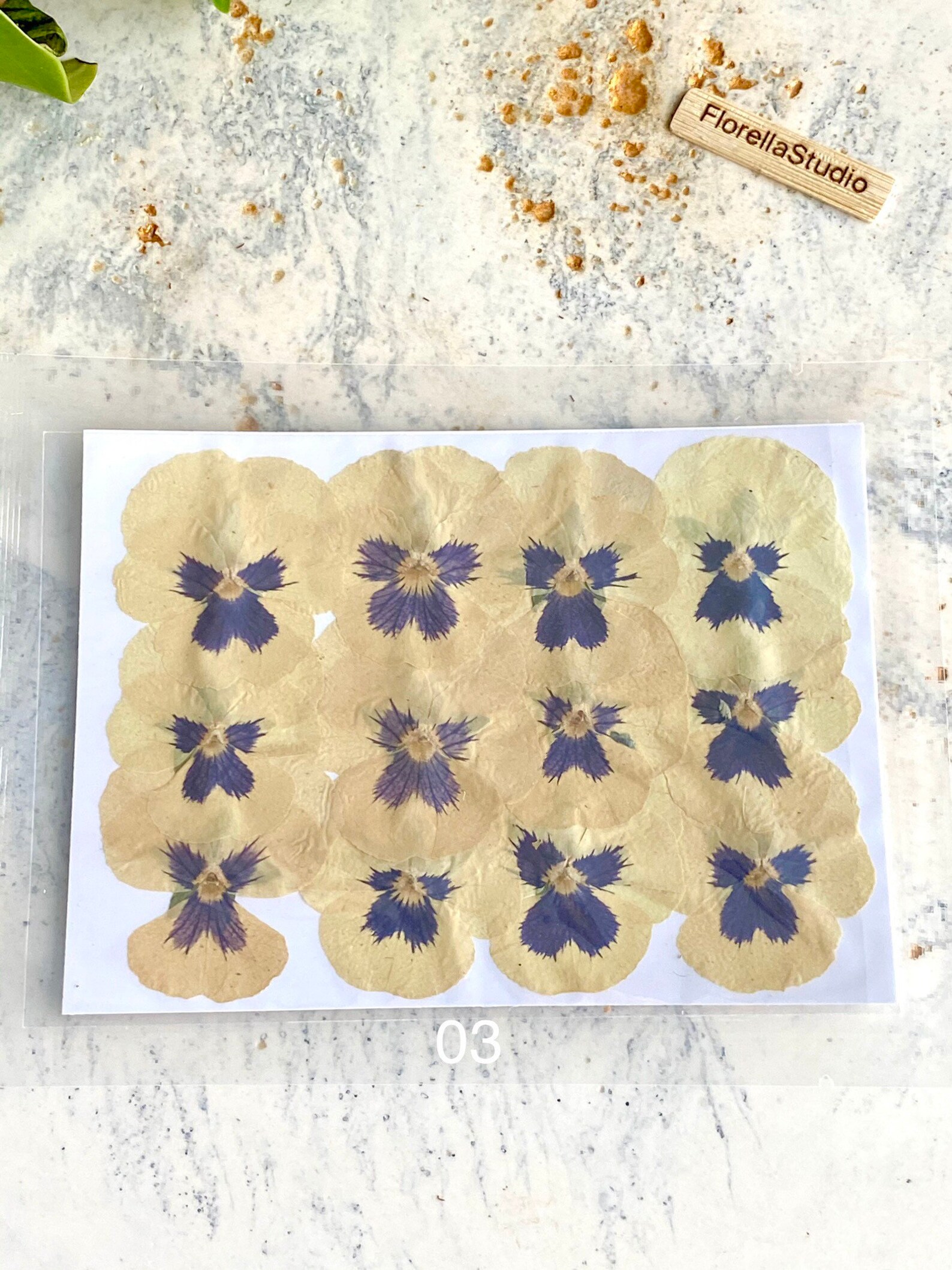 12 Pcs DIY Pressed Flower Large Pansies Handmade Natural Dried | Etsy