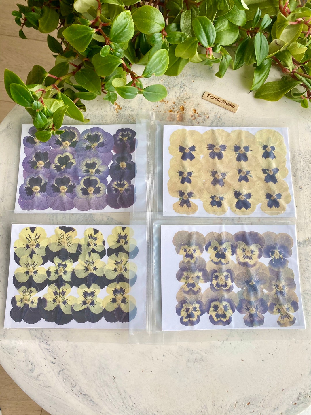 12 Pcs DIY Pressed Flower Large Pansies Handmade Natural Dried - Etsy