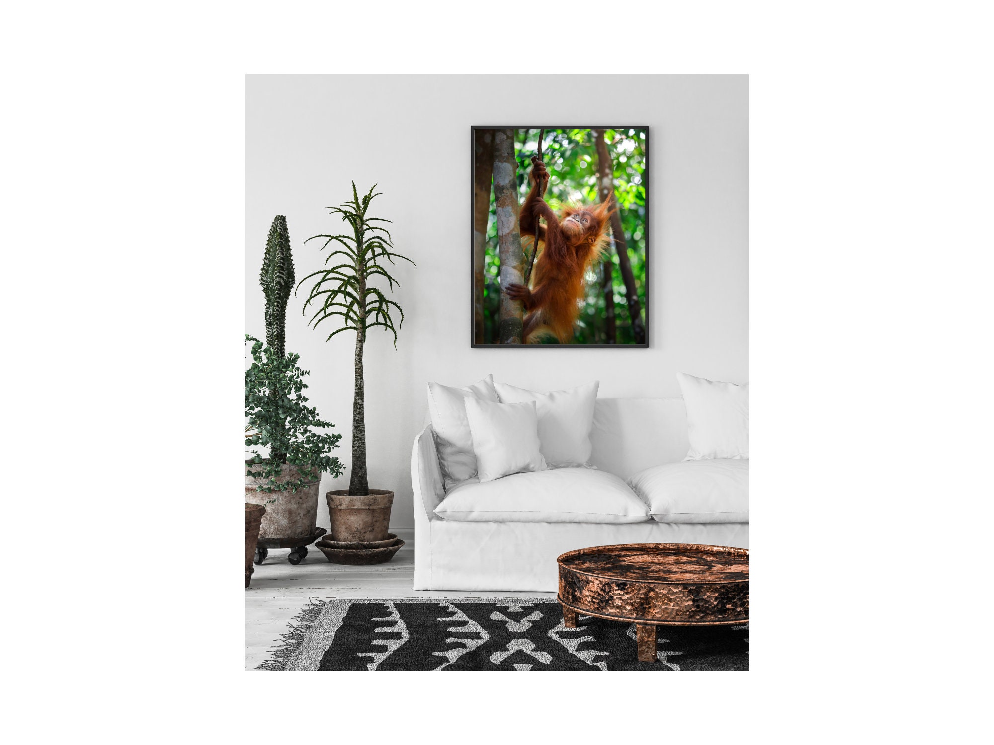 Chaz the Baby Orangutan Wall Art Digital Print Printable | Etsy