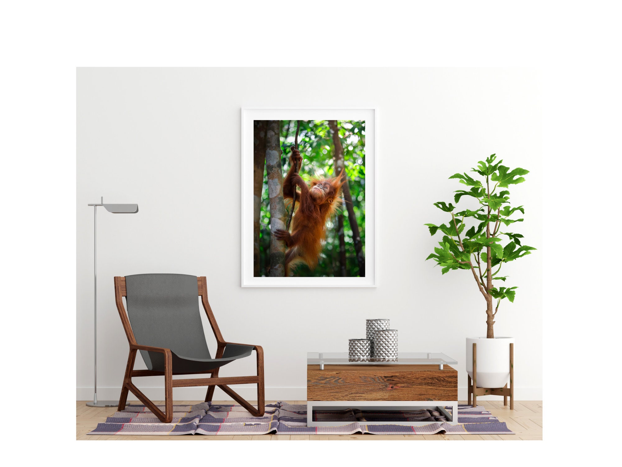 Chaz the Baby Orangutan Wall Art Digital Print Printable | Etsy