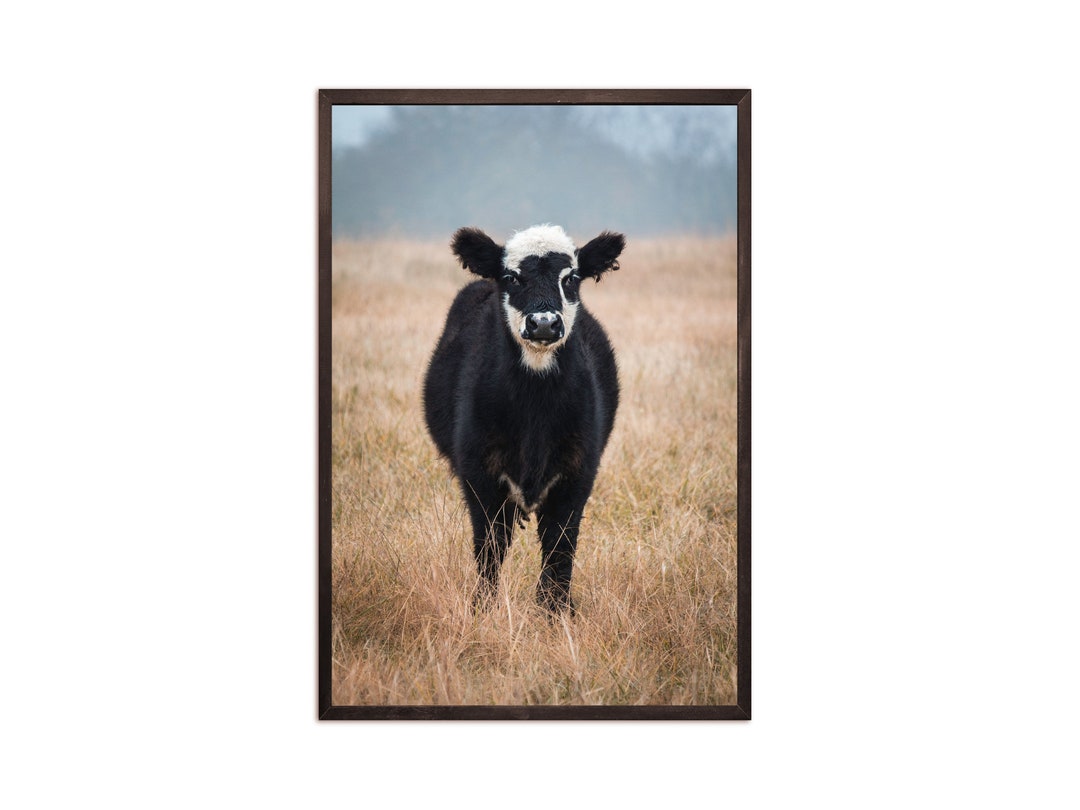 Herman the Cow - - Wall Art, Digital Print, Printable Art, DIY ...