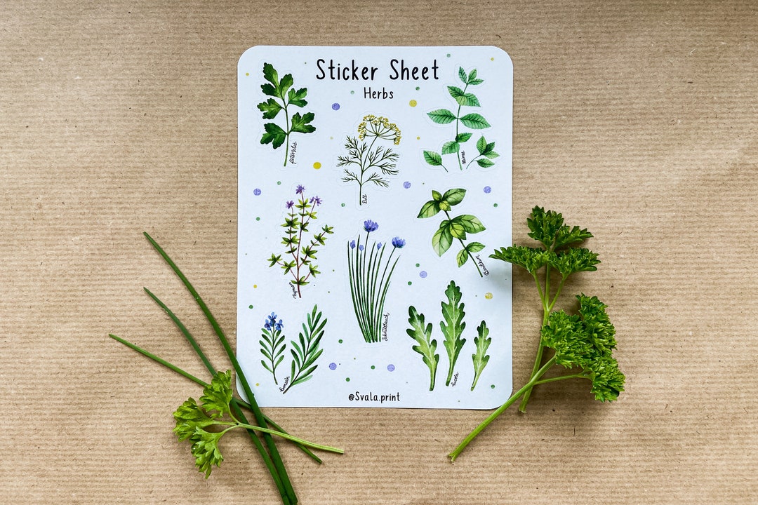 Sticker Herbs | Herbs | Sticker Bulletjournal | Journal Sticker - Etsy