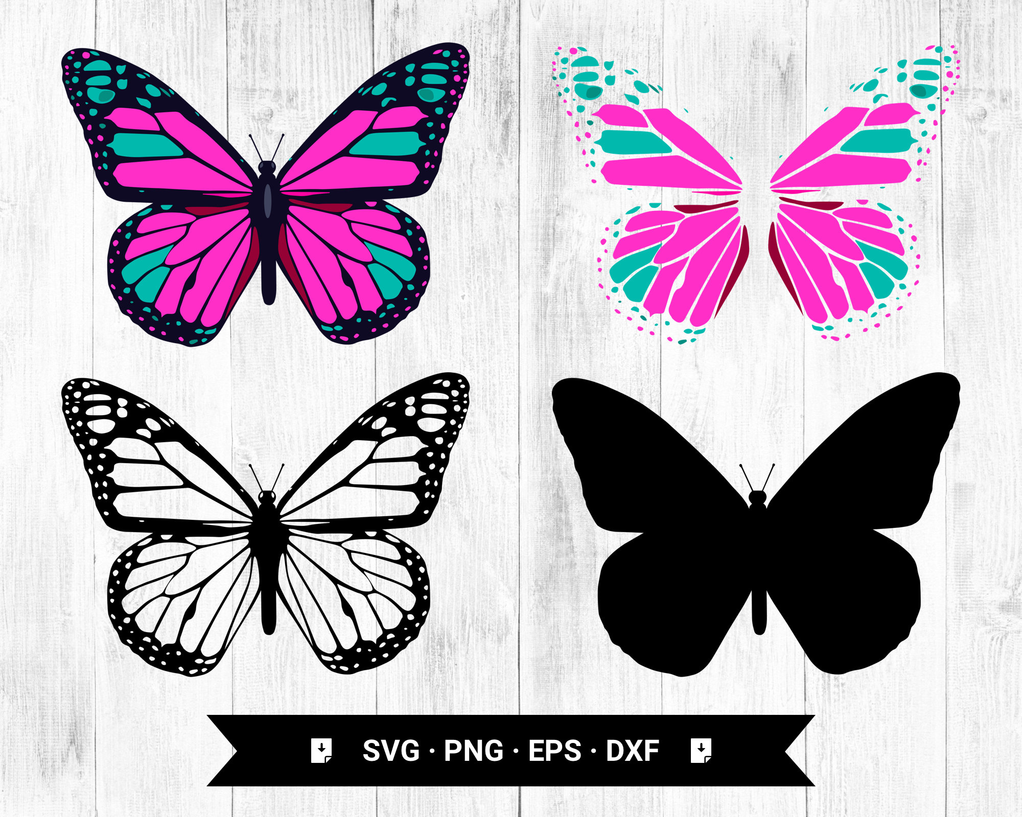 Papillon svgMonarch papillon Papillons svg fichiers cricut | Etsy