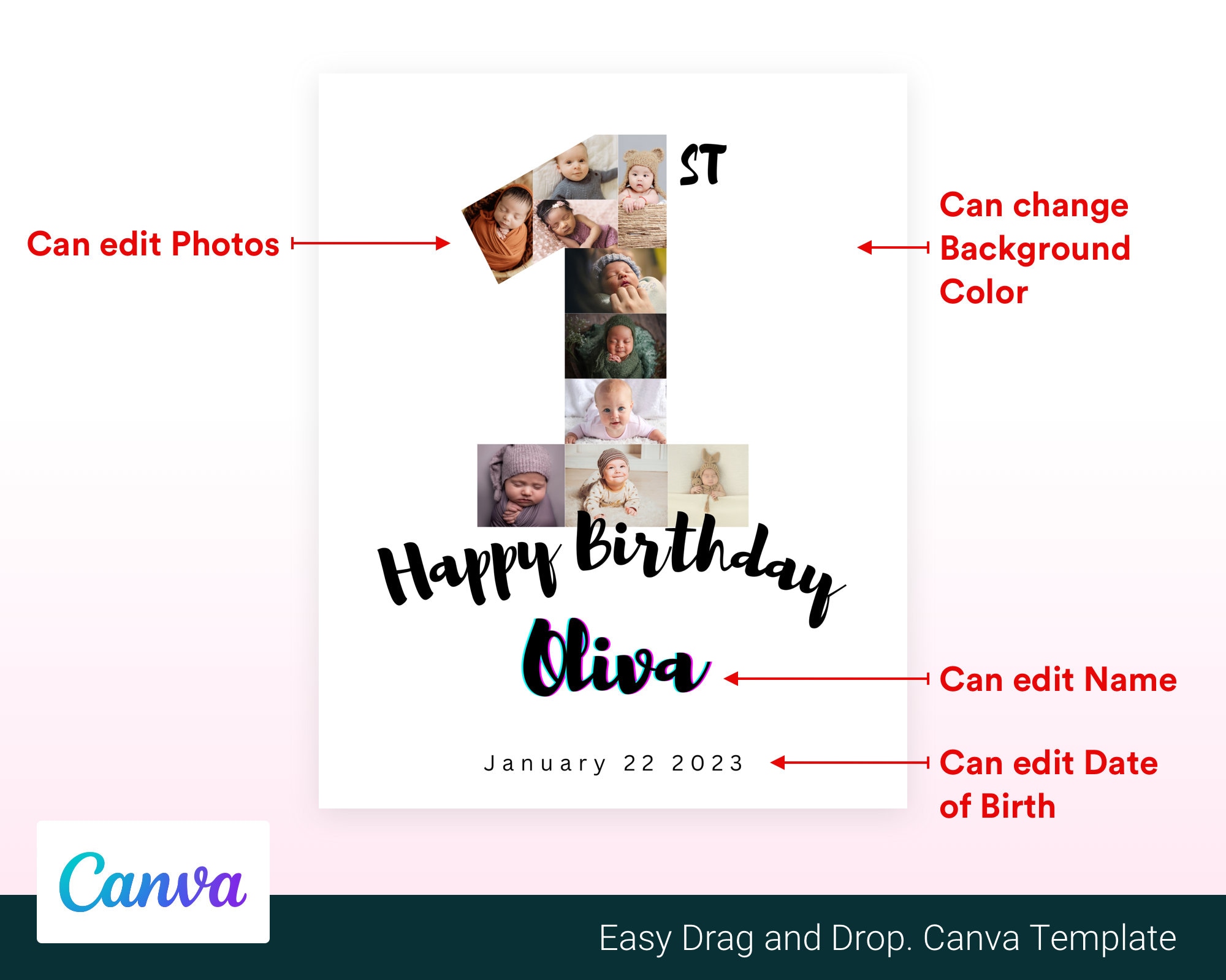 1st Birthday Canvaprintable First Birthday Template Full - Etsy