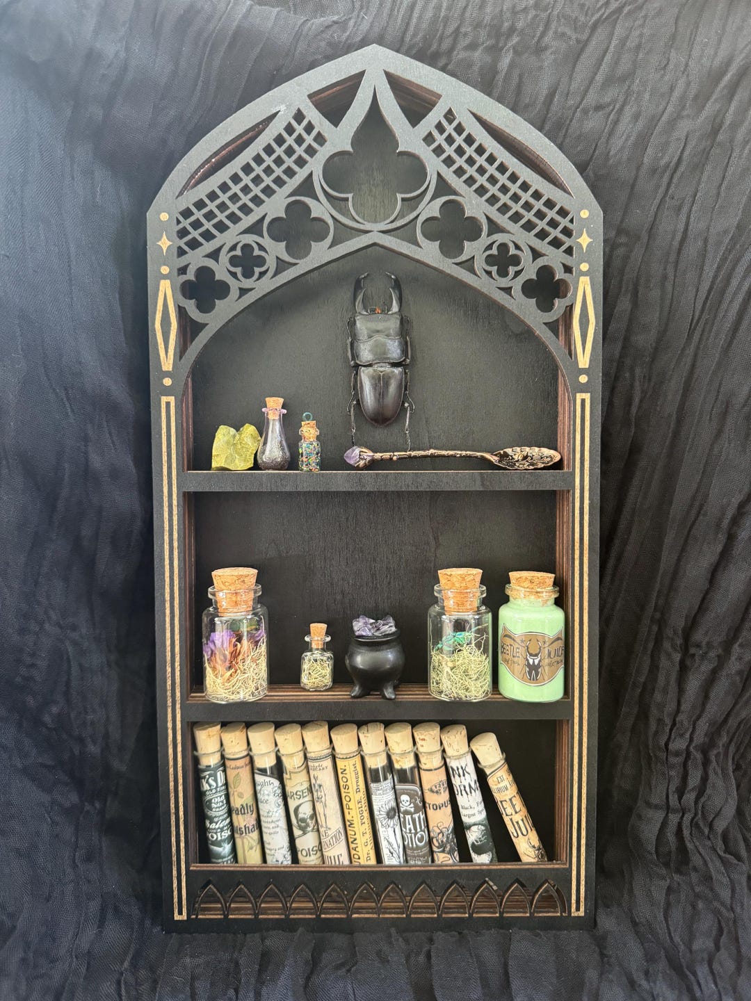 Oddities Shelf Curiousity Cabinet Beetle and Insects Gothic Style - Etsy