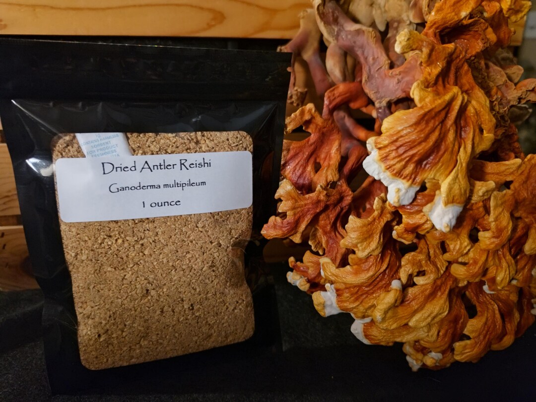 Dried Reishi Mushroom, Ground, Organic, Self Care - Etsy