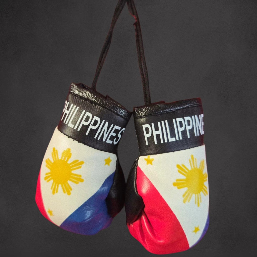 Philippine Flag Boxing Gloves - Etsy