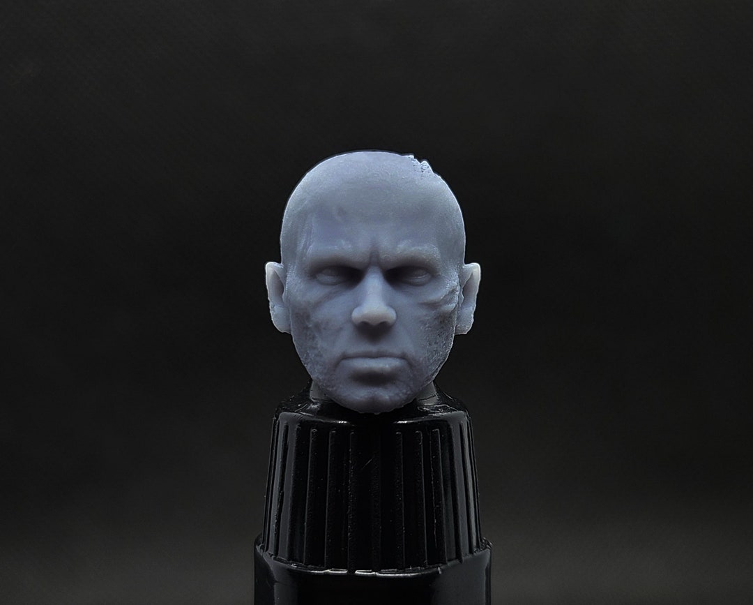 Burned Anakin Skywalker Vader Head (1:12 Scale) Black Series - Etsy