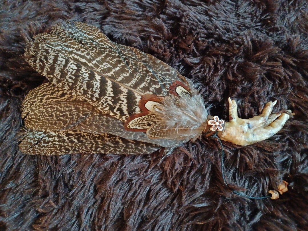 Peahen Feather Smudge Fan With Chicken Foot - Etsy