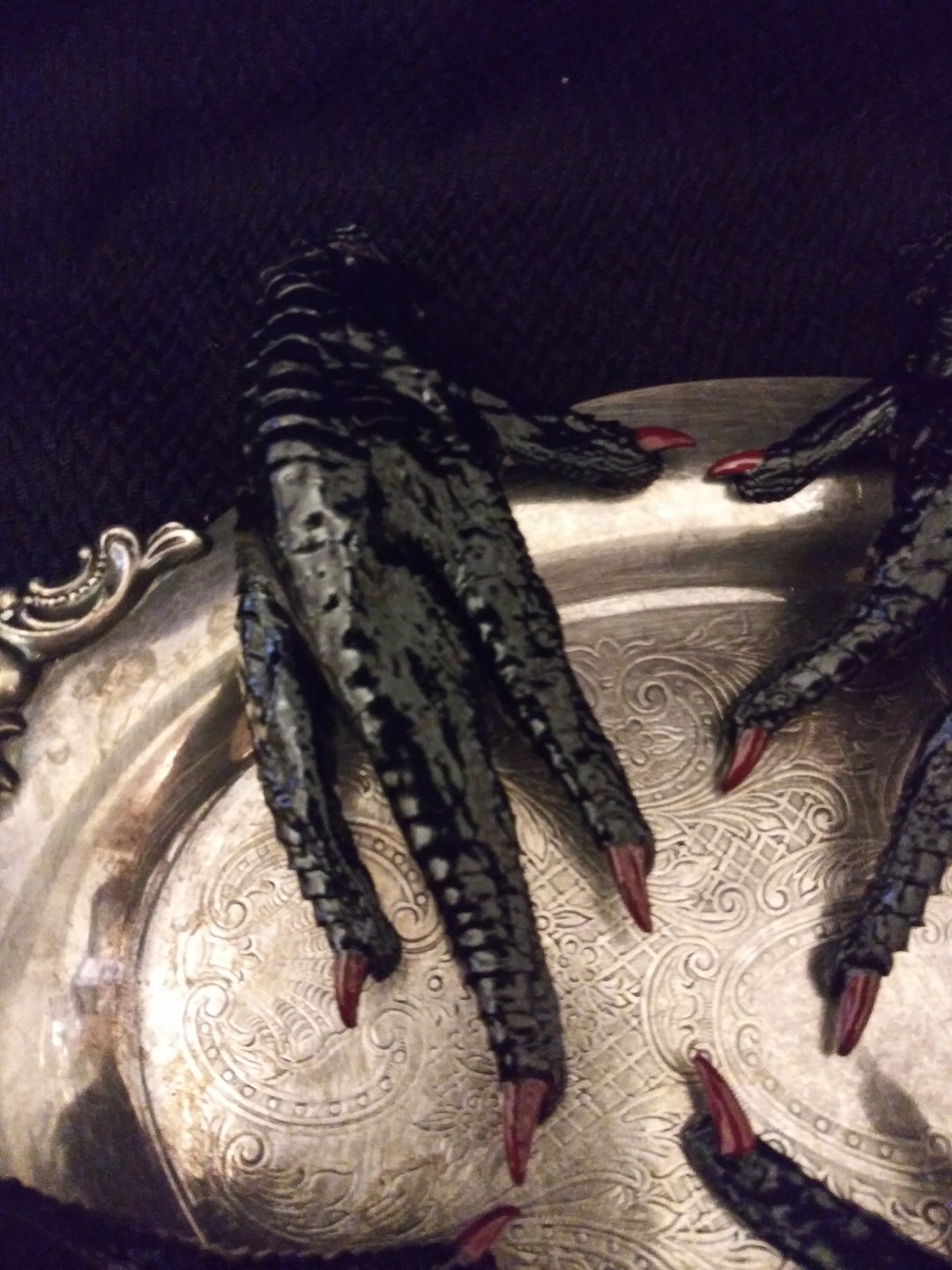 Hoodoo Black Chicken Foot - Etsy