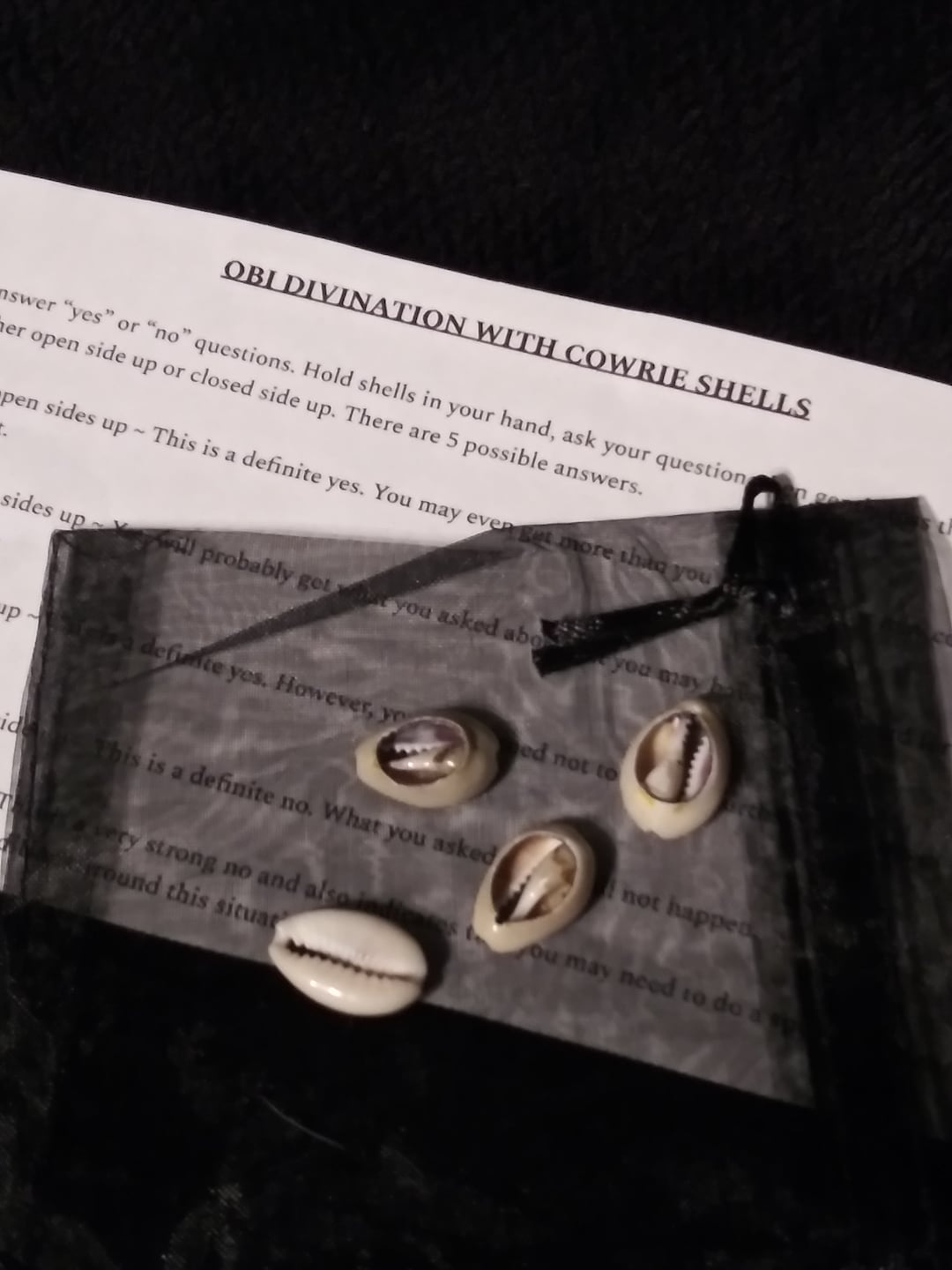 Obi Divination With 4 Cowrie Shells and Instructions - Etsy