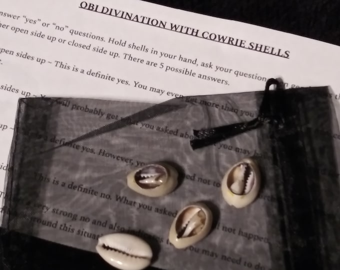 African Cowrie Shells Divination Book History Theory & Practice Tribal ...