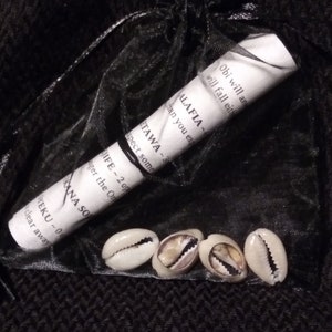 Obi Divination With 4 Cowrie Shells and Instructions - Etsy