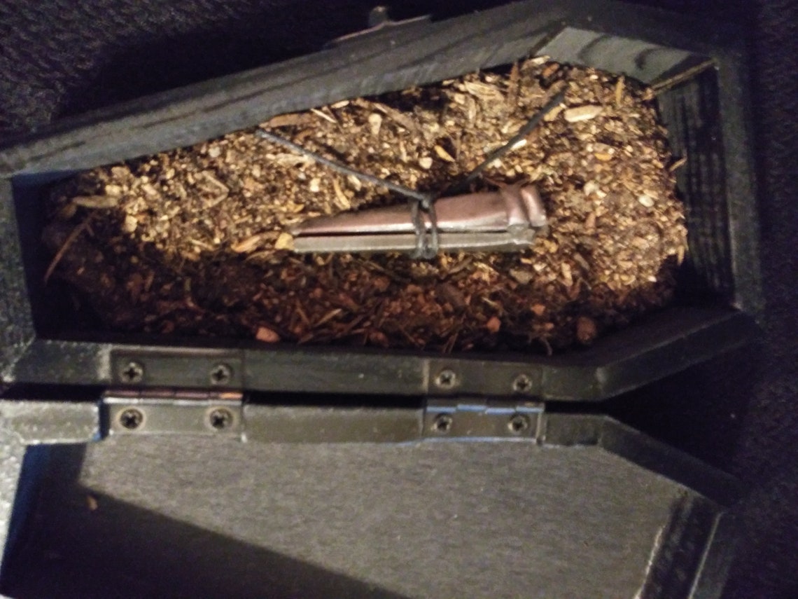 Graveyard Dirt and Coffin Nails in Wood Coffin Box - Etsy