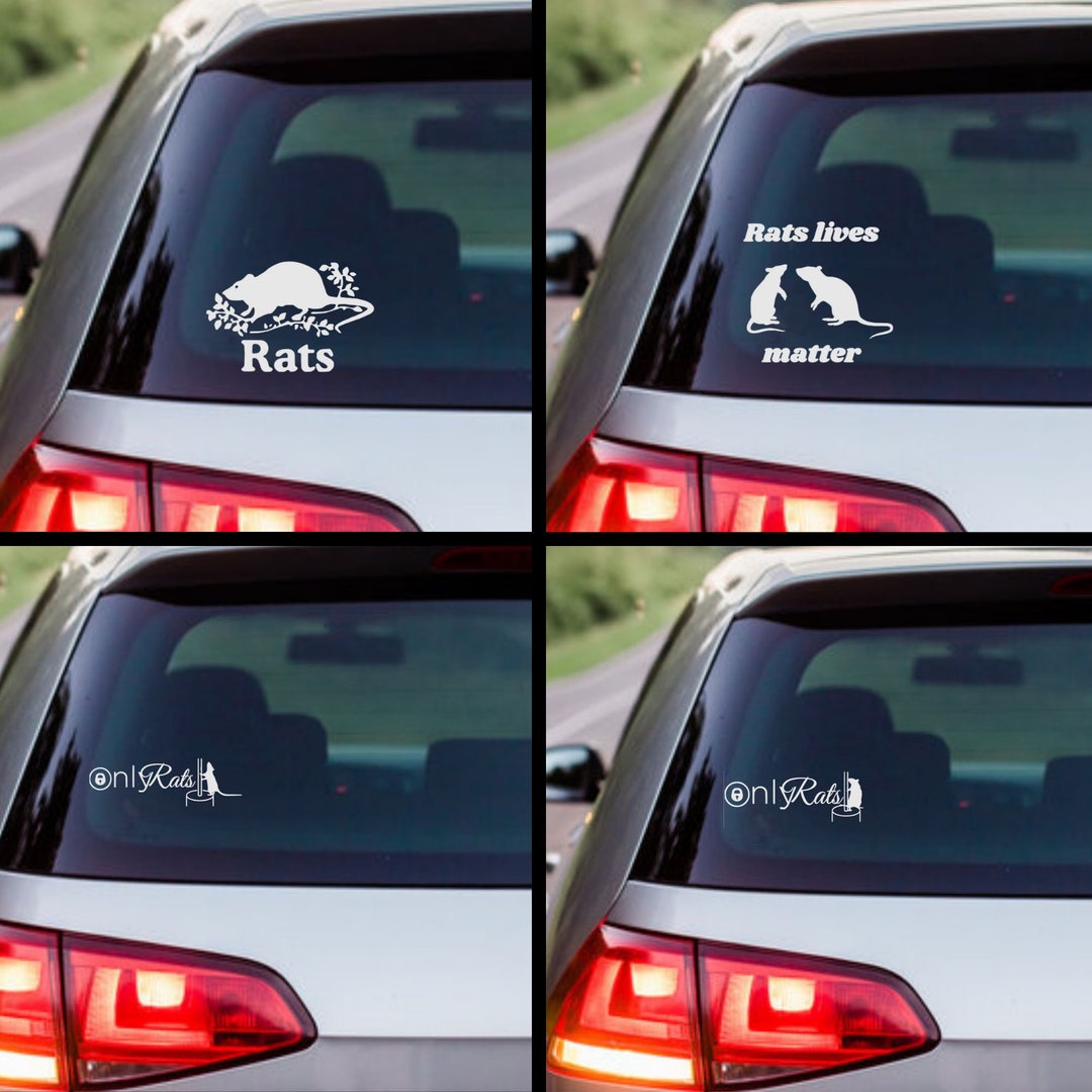 Funny Rats Vinyl Decals Car Sticker Laptop Sticker Windows Sticker ...