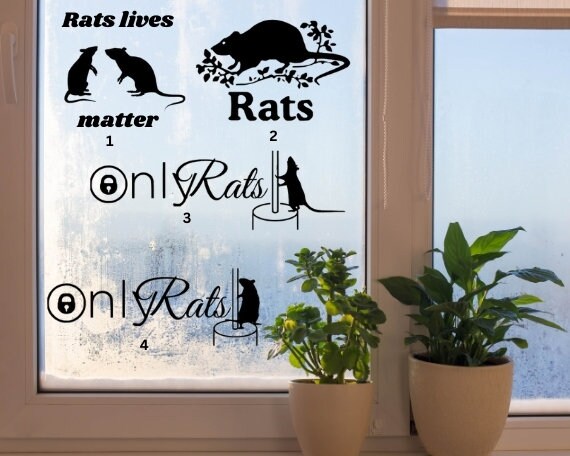 Funny Rats Vinyl Decals Stickers for Car Laptops Windows - Etsy