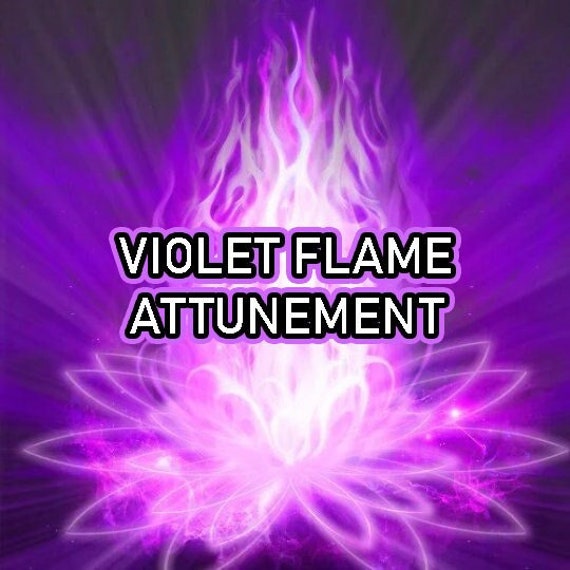 Fiamme Viola