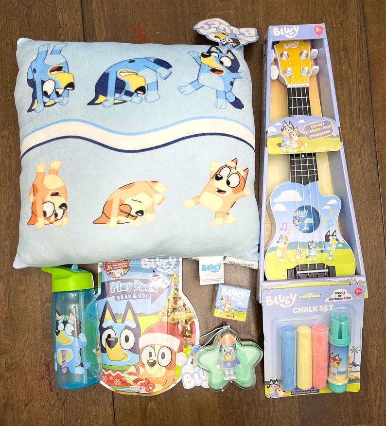 Bluey Pre Filled Basket/ Boys and Girls Present/ Bluey and Bingo ...