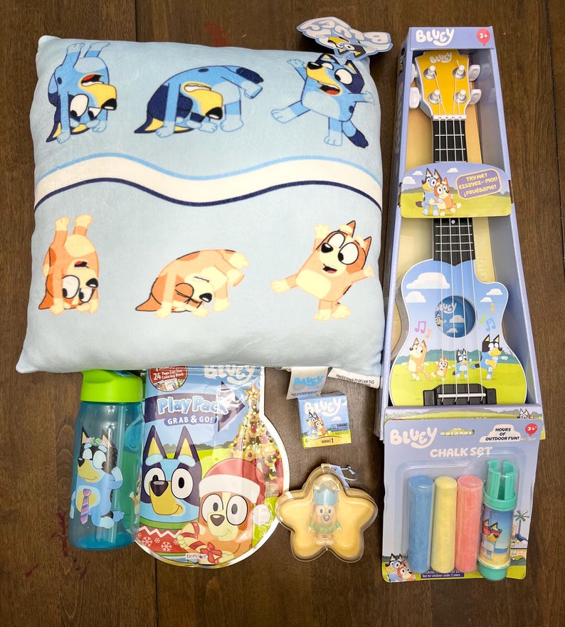 Bluey Pre Filled Basket/ Boys and Girls Present/ Bluey and Bingo ...