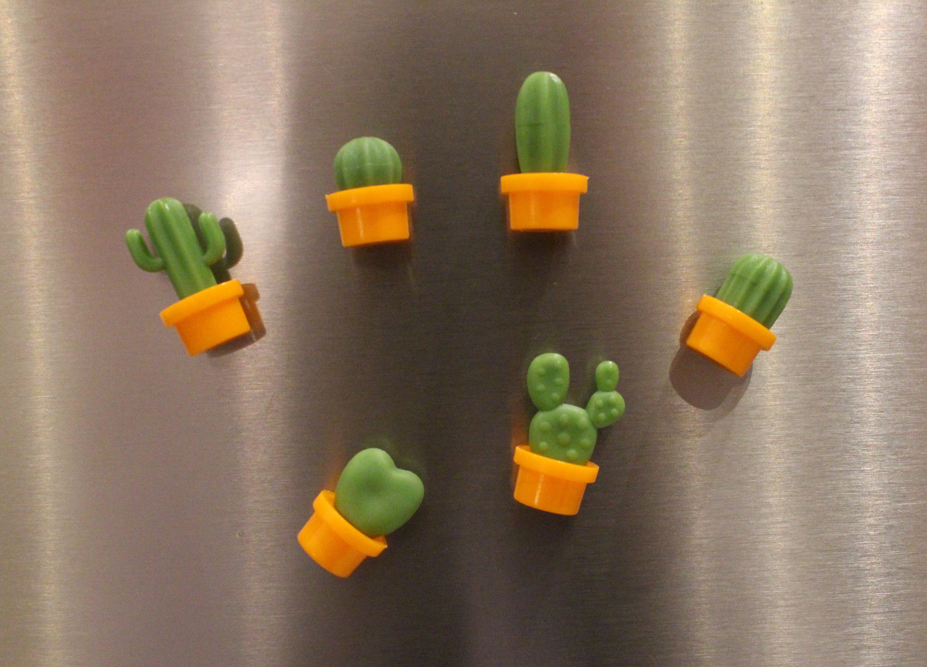 6pcs Acrylic Mini Cactus/cacti Magnets Fun Refrigerator | Etsy