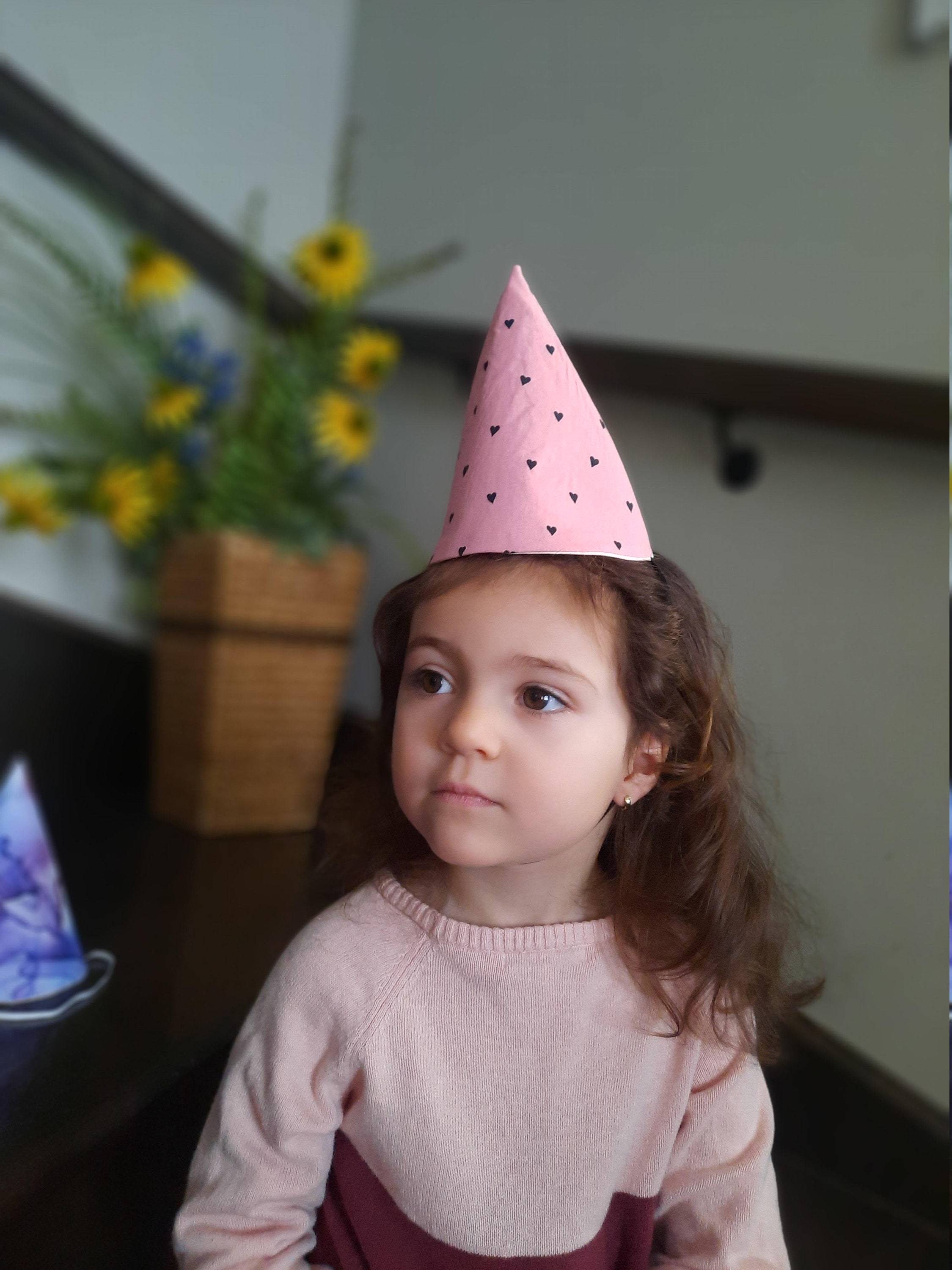 Birthday Hat PDF Pattern / Birthday Hat Patron PDF - Etsy UK
