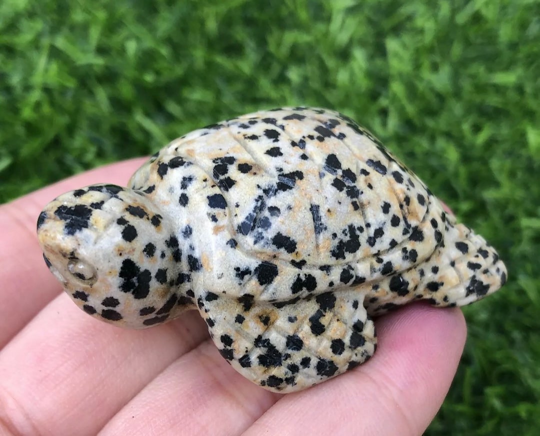 Natural Dalmatian Jasper Turtle Crystal Tortoise Hand Carved Healing ...