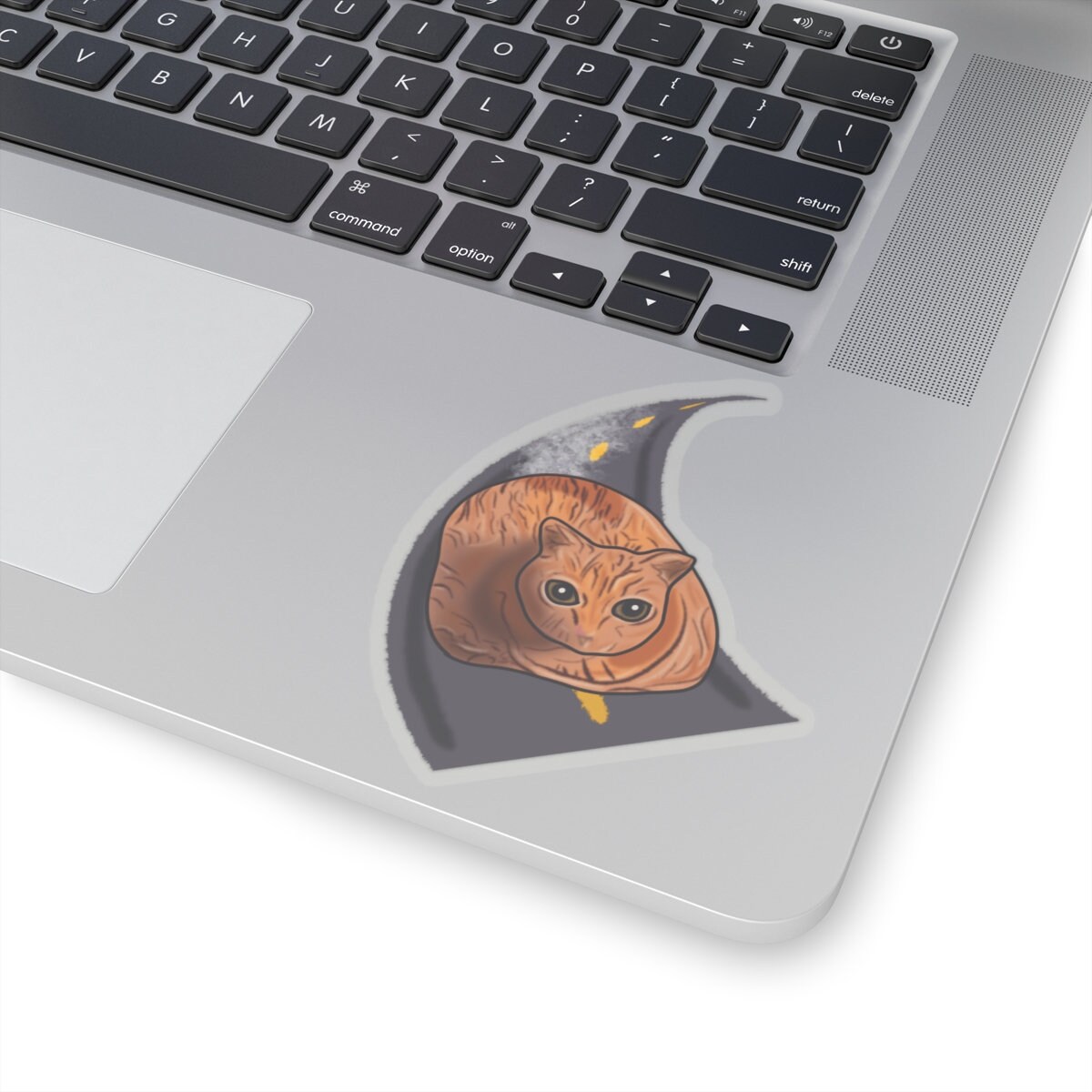 Racecar Cat Sticker, Pedro Cat, Cat Sticker, Racecar Sticker, Memes ...