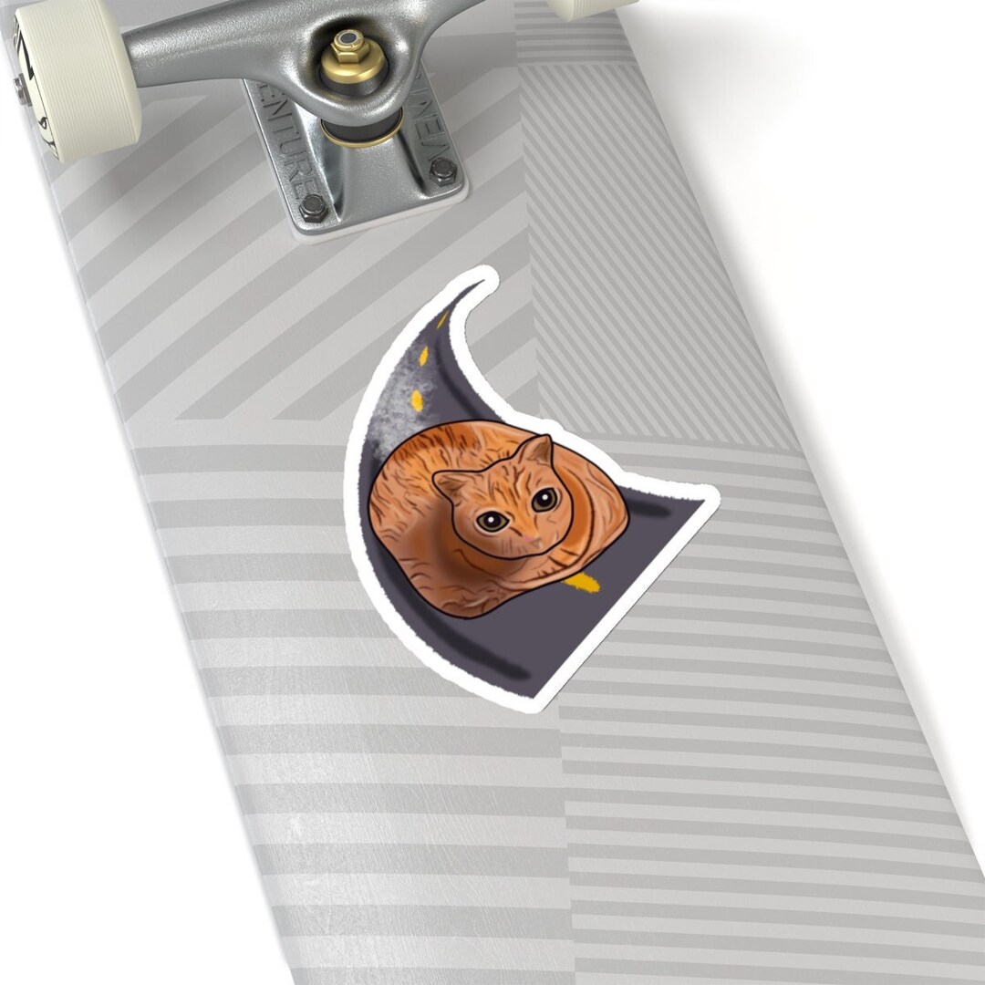 Racecar Cat Sticker, Pedro Cat, Cat Sticker, Racecar Sticker, Memes ...