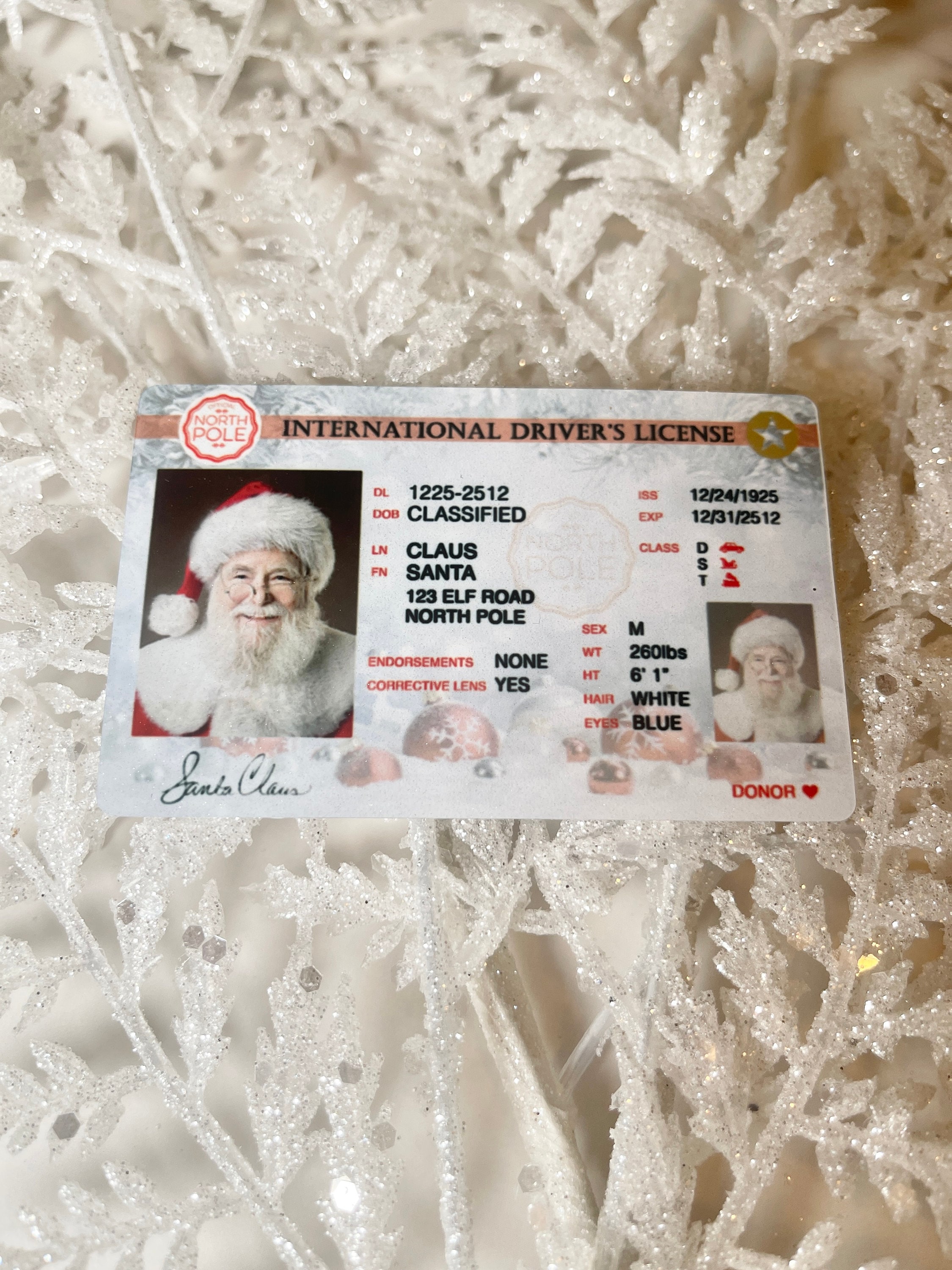 Santa License Lost Driving License Santa Claus License Santa's Sleigh ...