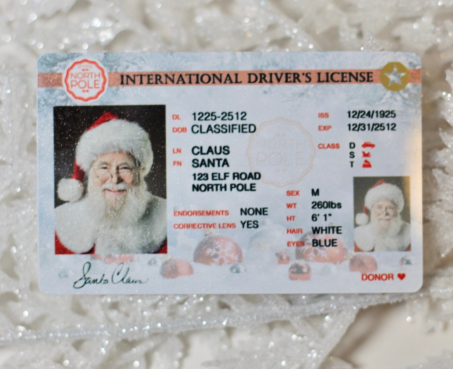 Santa License Lost Driving License Santa Claus License Santa's Sleigh ...